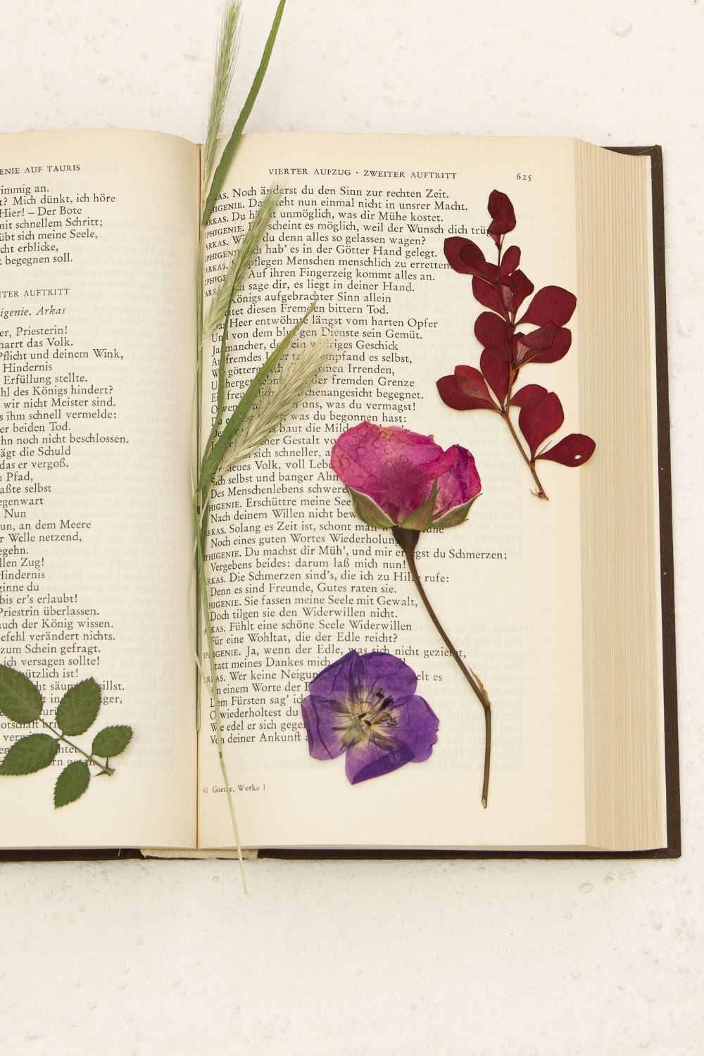 How to press flowers with these 3 easy steps | Martha Brook