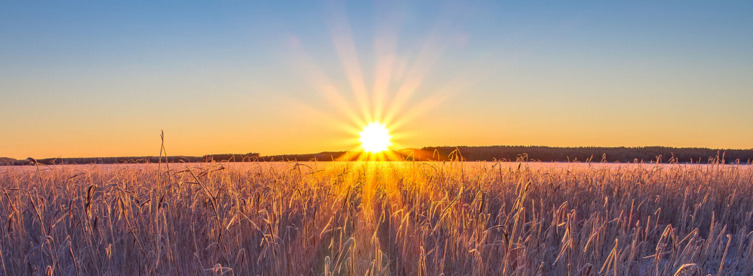 13 of the best motivational quotes for 2025 | Martha Brook